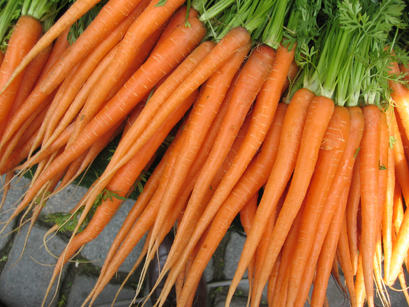 Pourquoi la carotte est-elle orange